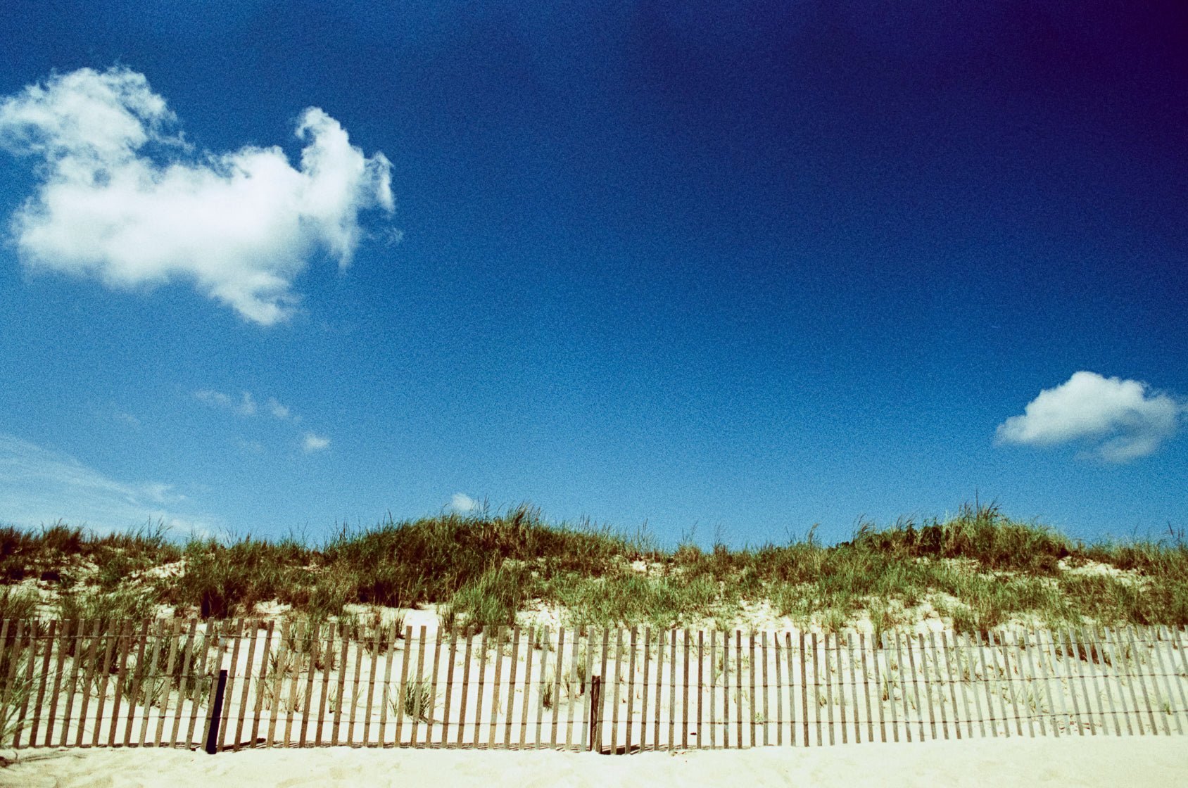 Film Cross Processing (Explained) – Cassette Film